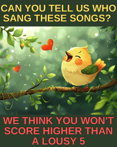Who Sang These Songs?